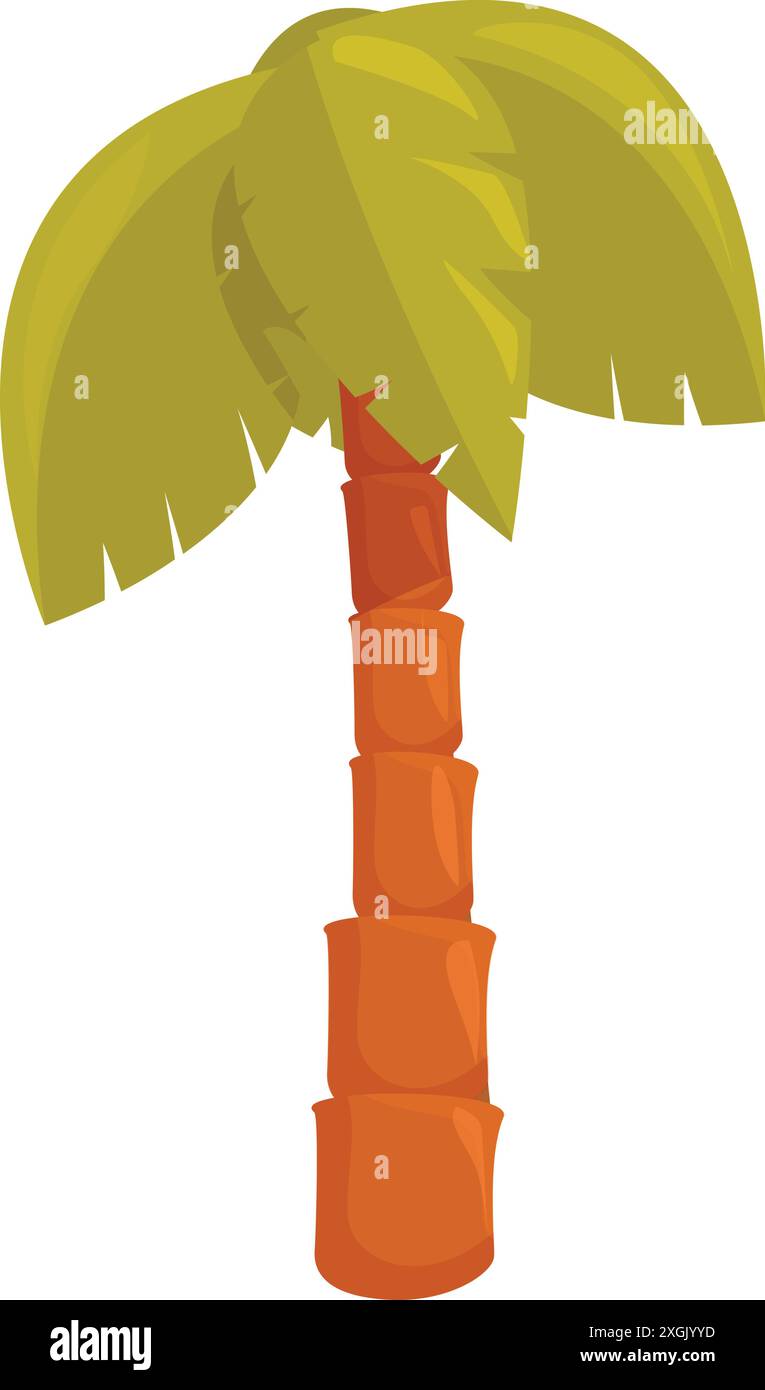 Tropical region plant Stock Vector Images - Alamy