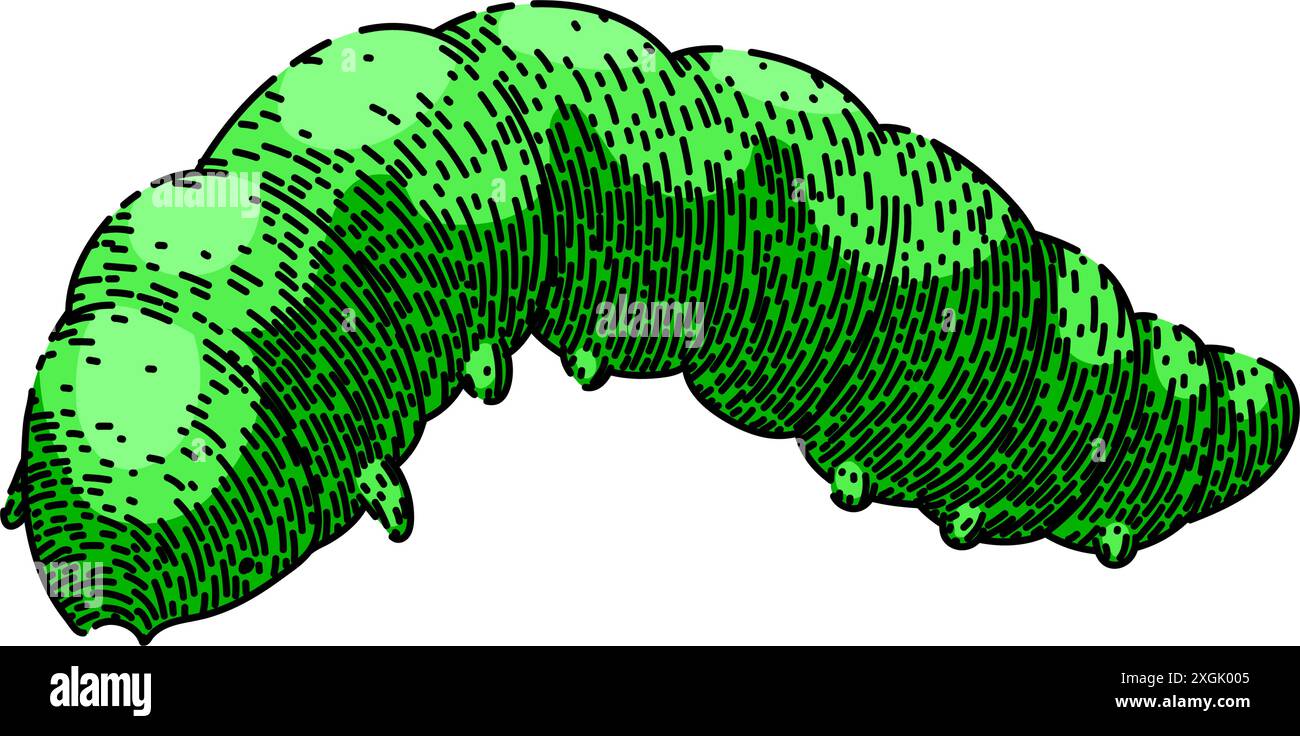 bug caterpillar sketch hand drawn vector Stock Vector Image & Art - Alamy