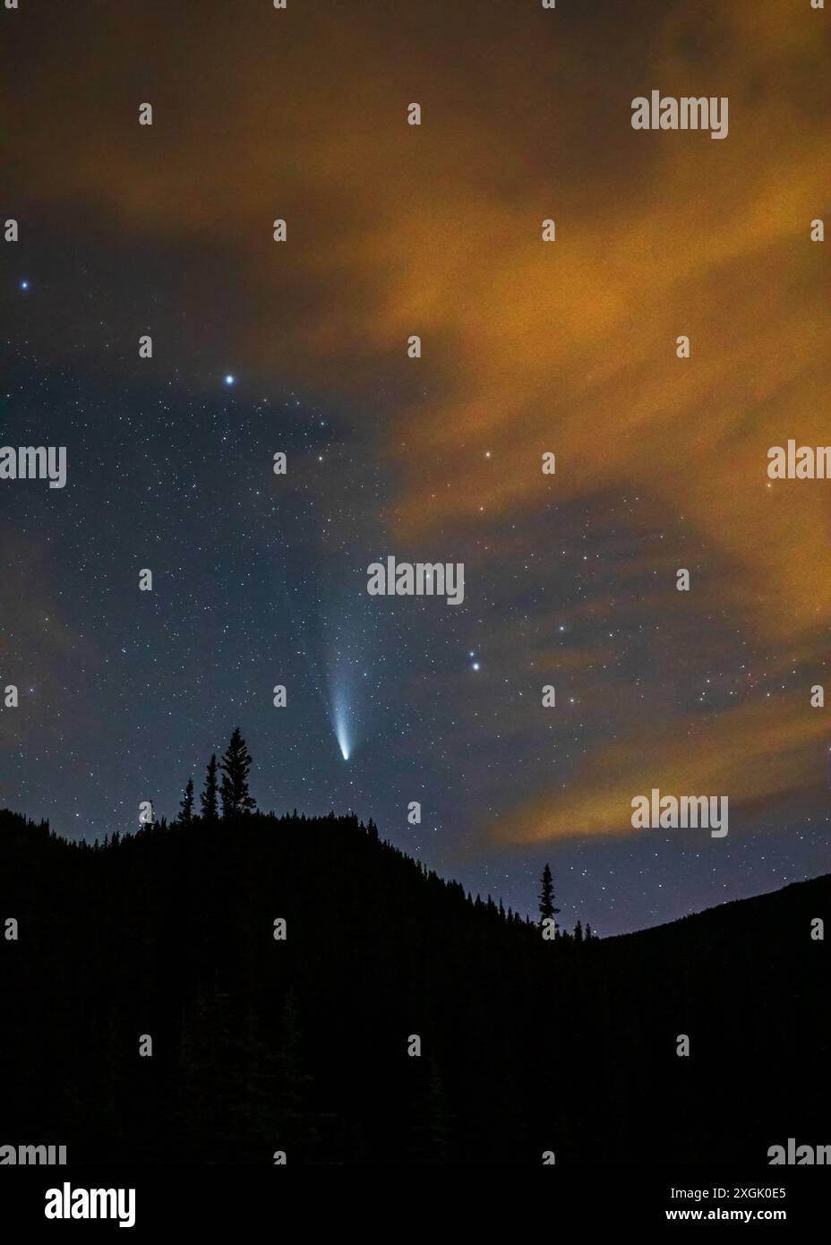 Comet neowise is shining brightly in the night sky over a forest with ...