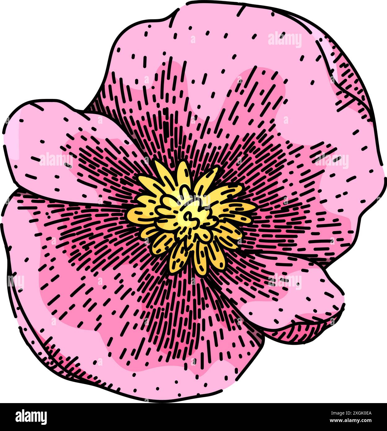 rose begonia sketch hand drawn vector Stock Vector Image & Art - Alamy