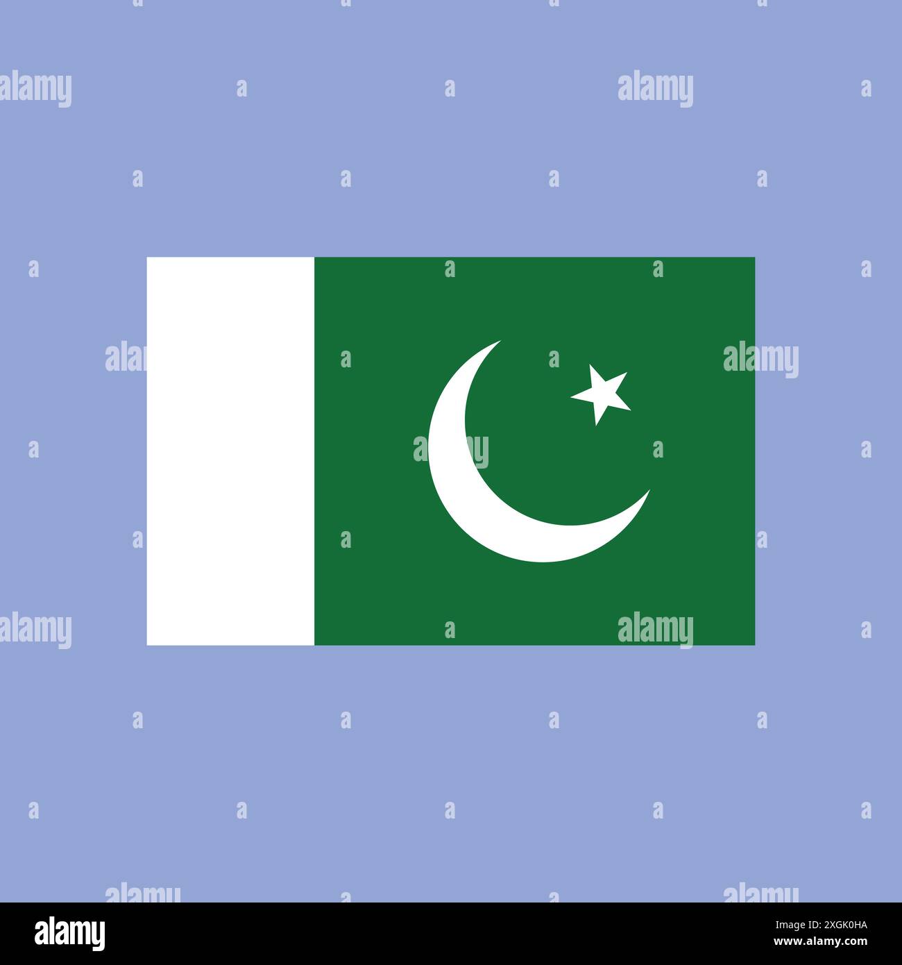 National Flag of Pakistan. Pakistan Flag Vector icon. Independence day ...