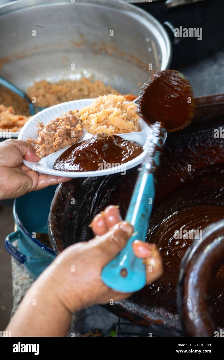 Delicious and traditional Mexican mole rojo served on a plate with ...