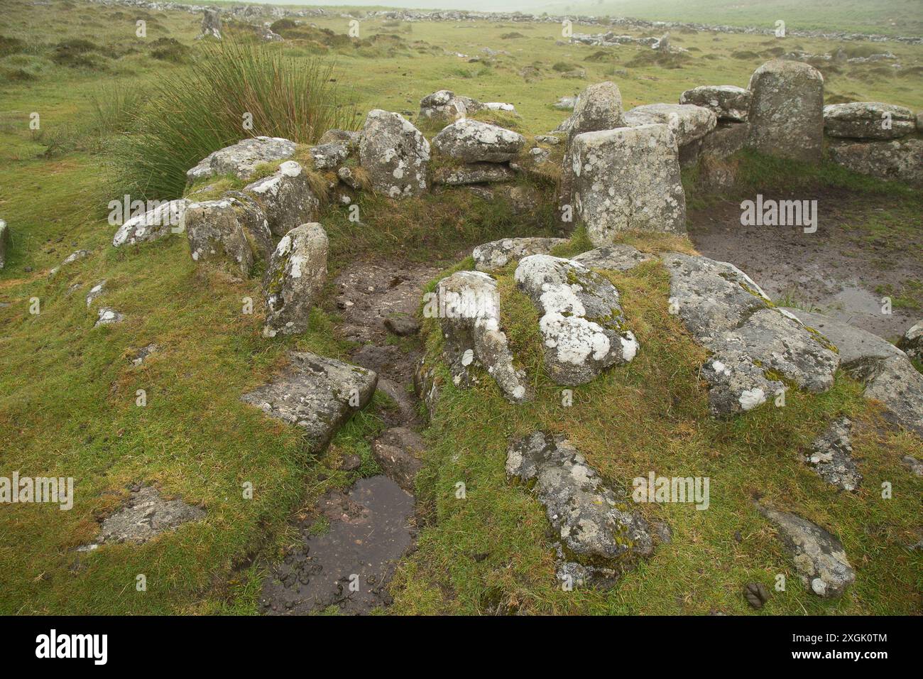 Grimspound Bronze Age settlement Stock Photo - Alamy