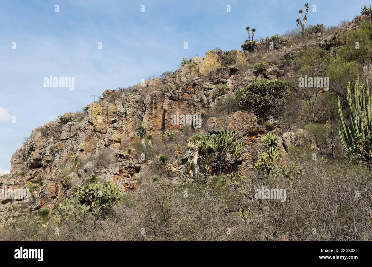 Stunning hillside view featuring rugged rock formations and diverse ...