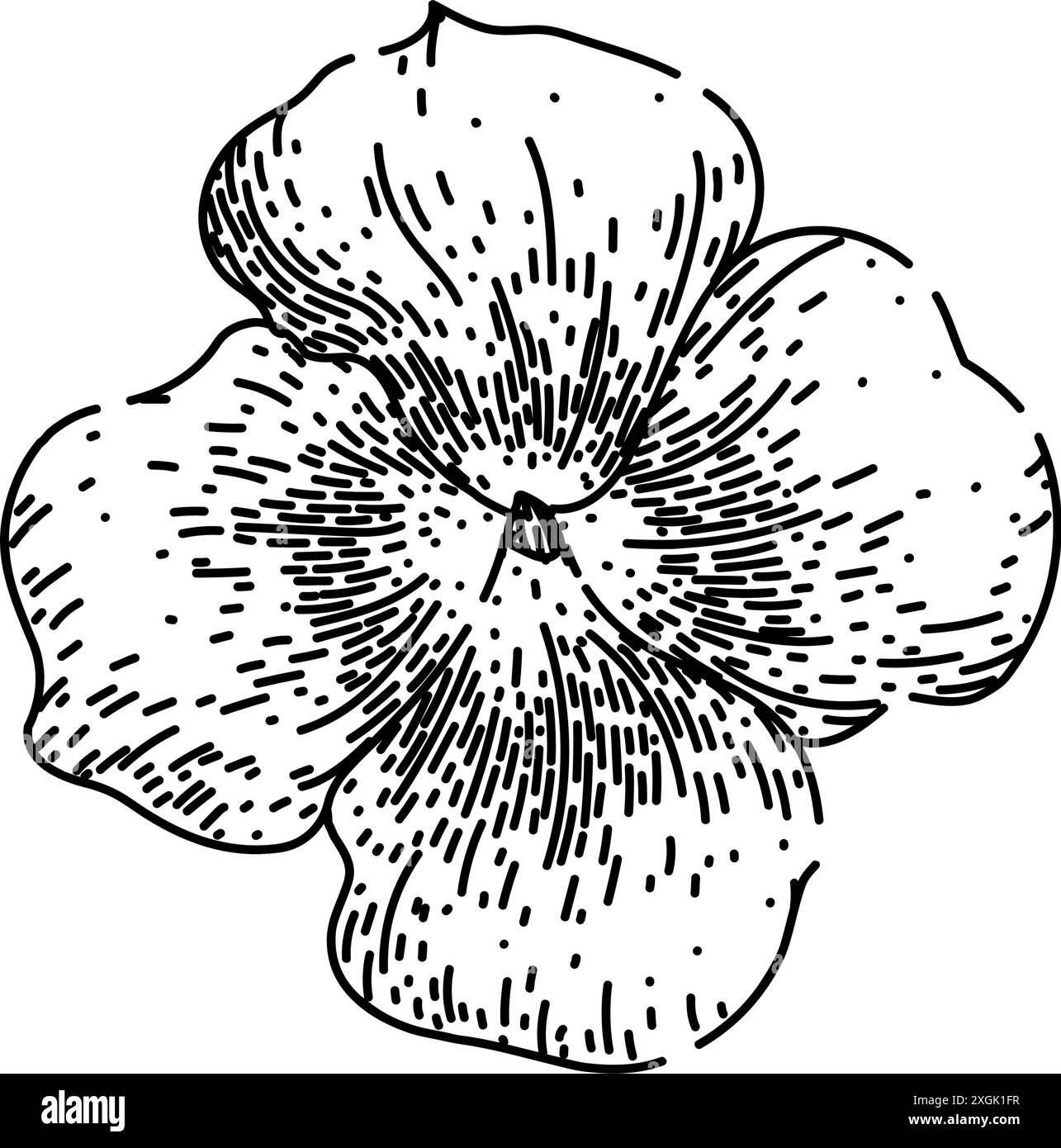 purple violet sketch hand drawn vector Stock Vector Image & Art - Alamy