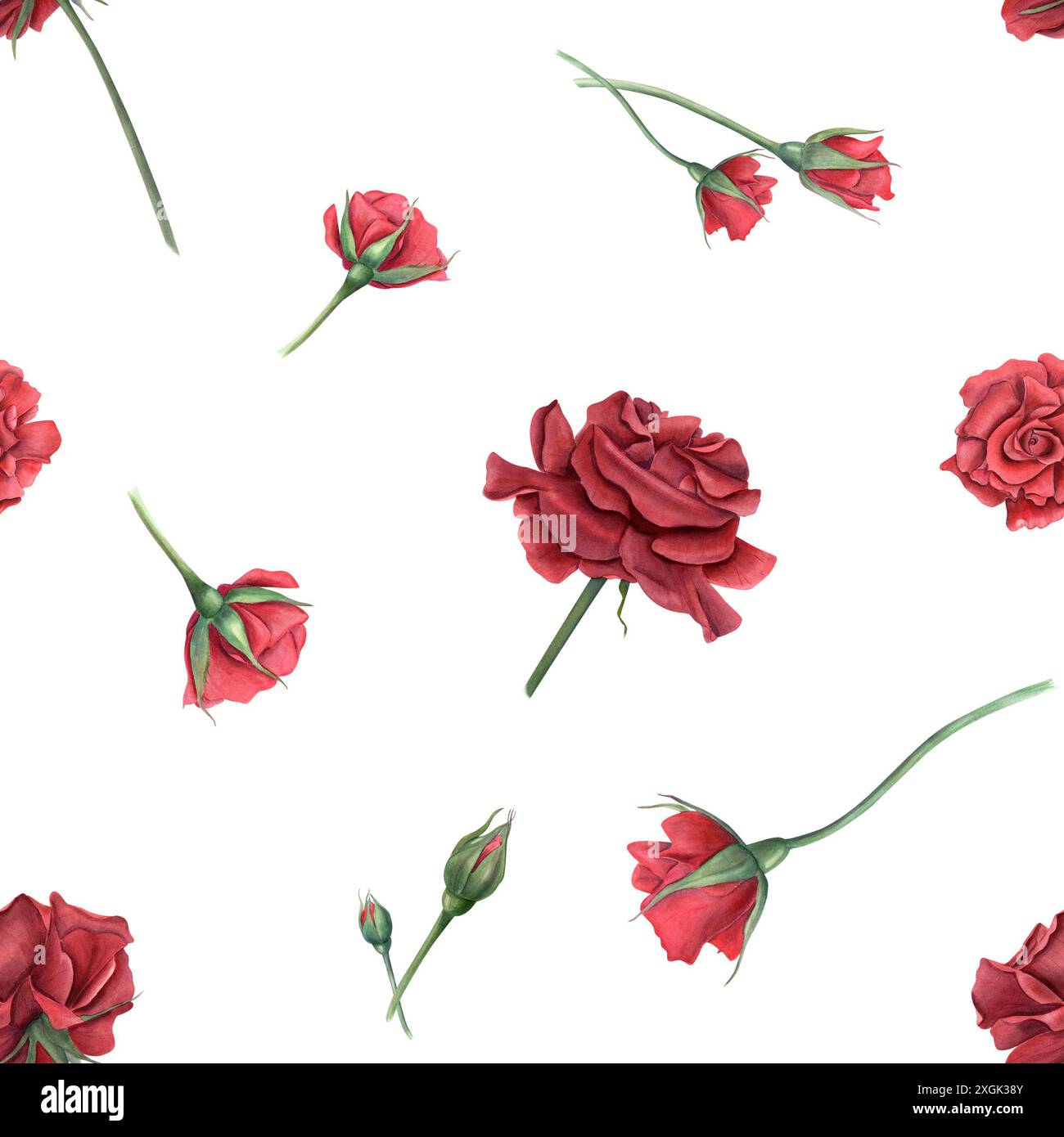 Rose with buds on stem. Deep red, scarlet roses. Seamless pattern of ...
