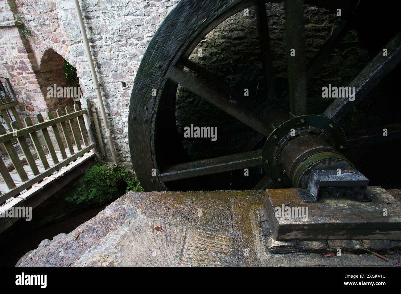 Wet corn hi-res stock photography and images - Alamy