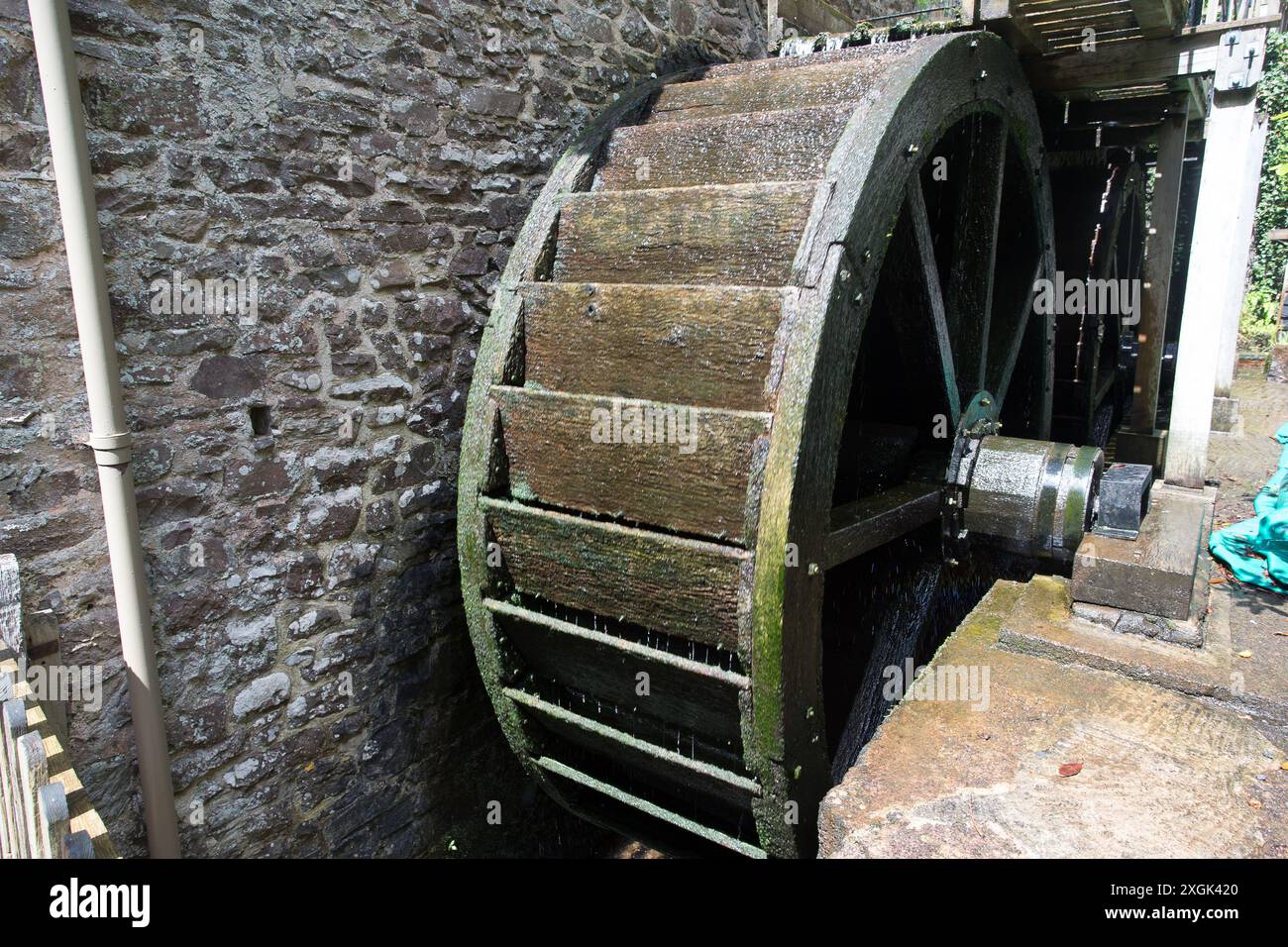 Wet corn hi-res stock photography and images - Alamy