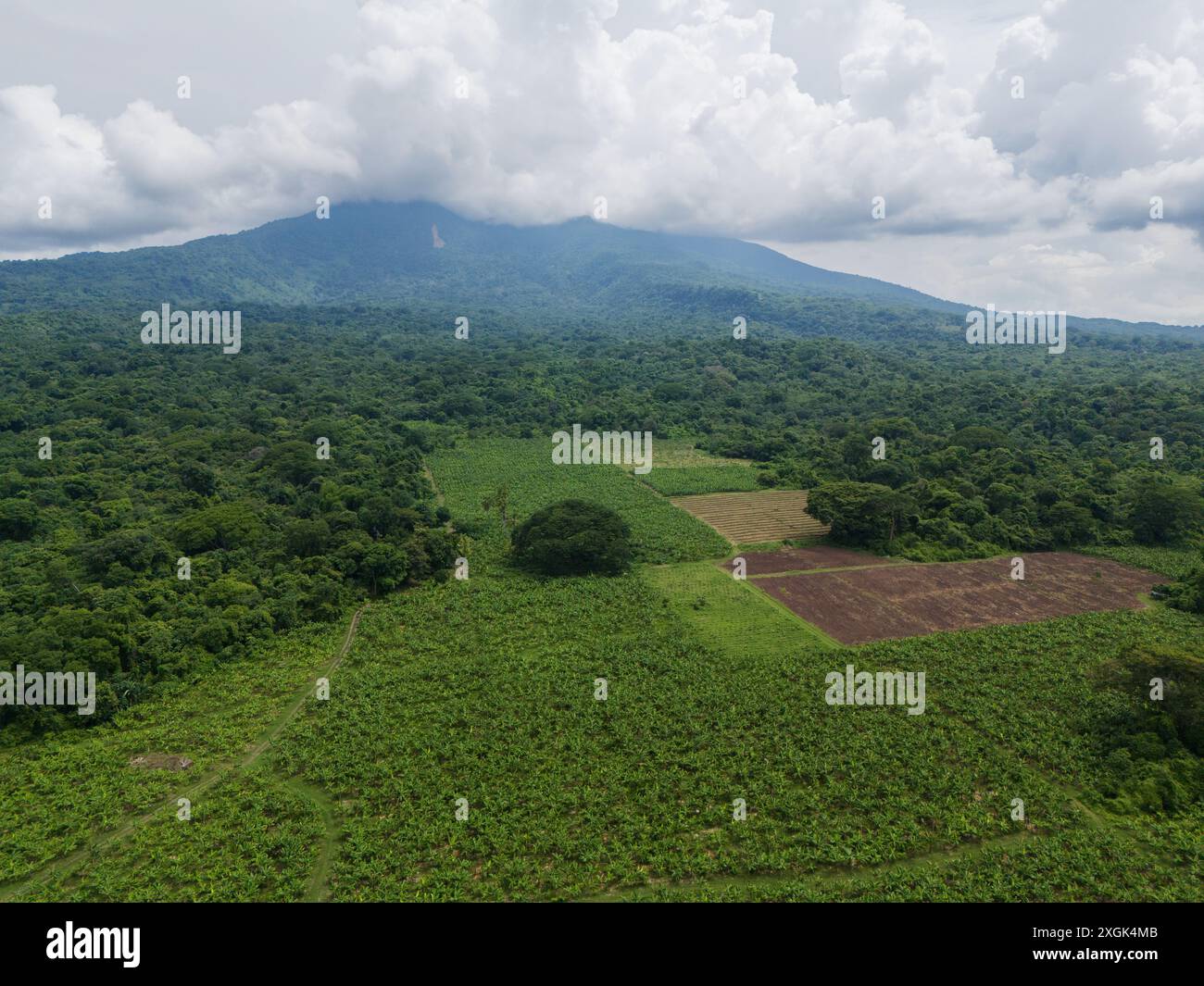Farm agriculture field on volcano bottom with white clouds aerial view ...
