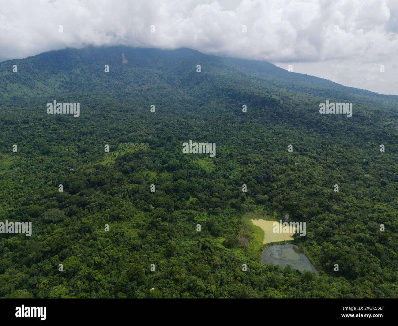 Green volcano valley jungle with swamp aerial drone top view Stock ...