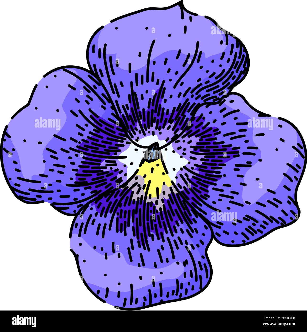 purple violet sketch hand drawn vector Stock Vector Image & Art - Alamy