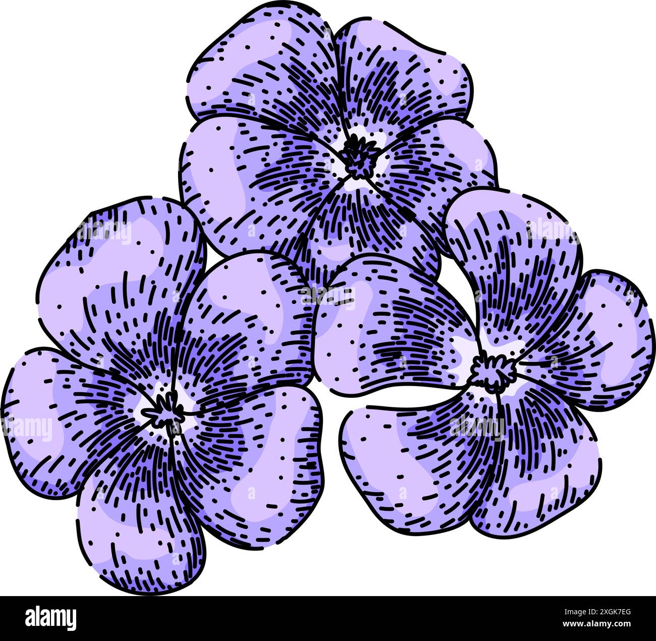 pink violet sketch hand drawn vector Stock Vector Image & Art - Alamy