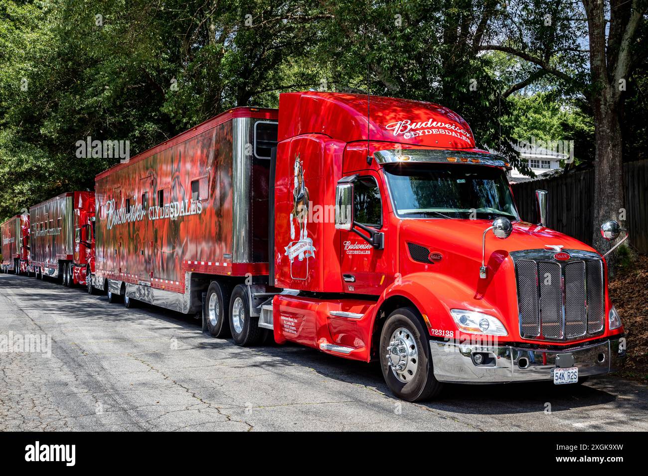Clydesdales hi-res stock photography and images - Alamy