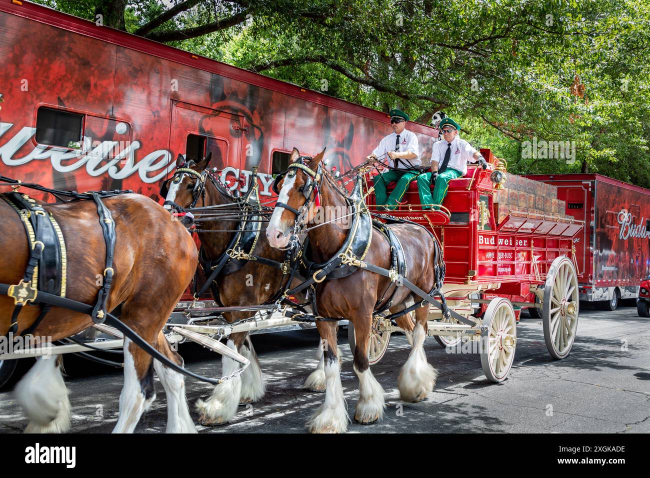 Budweiser beer delivery hi-res stock photography and images - Alamy