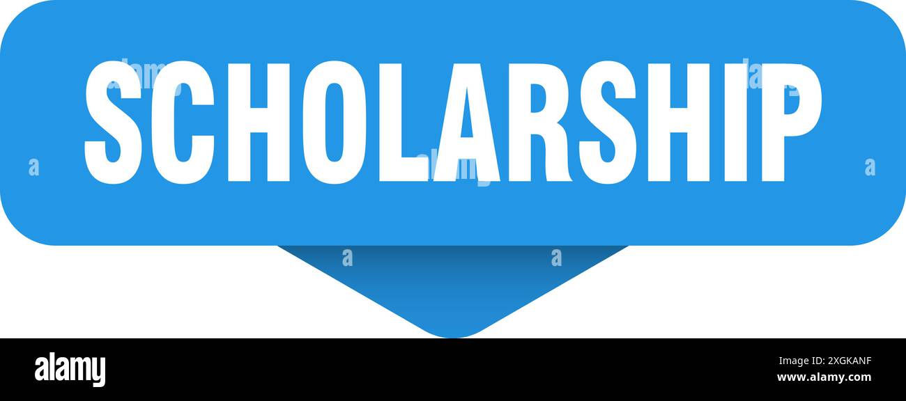scholarship sticker. scholarship sign on transparent background ...