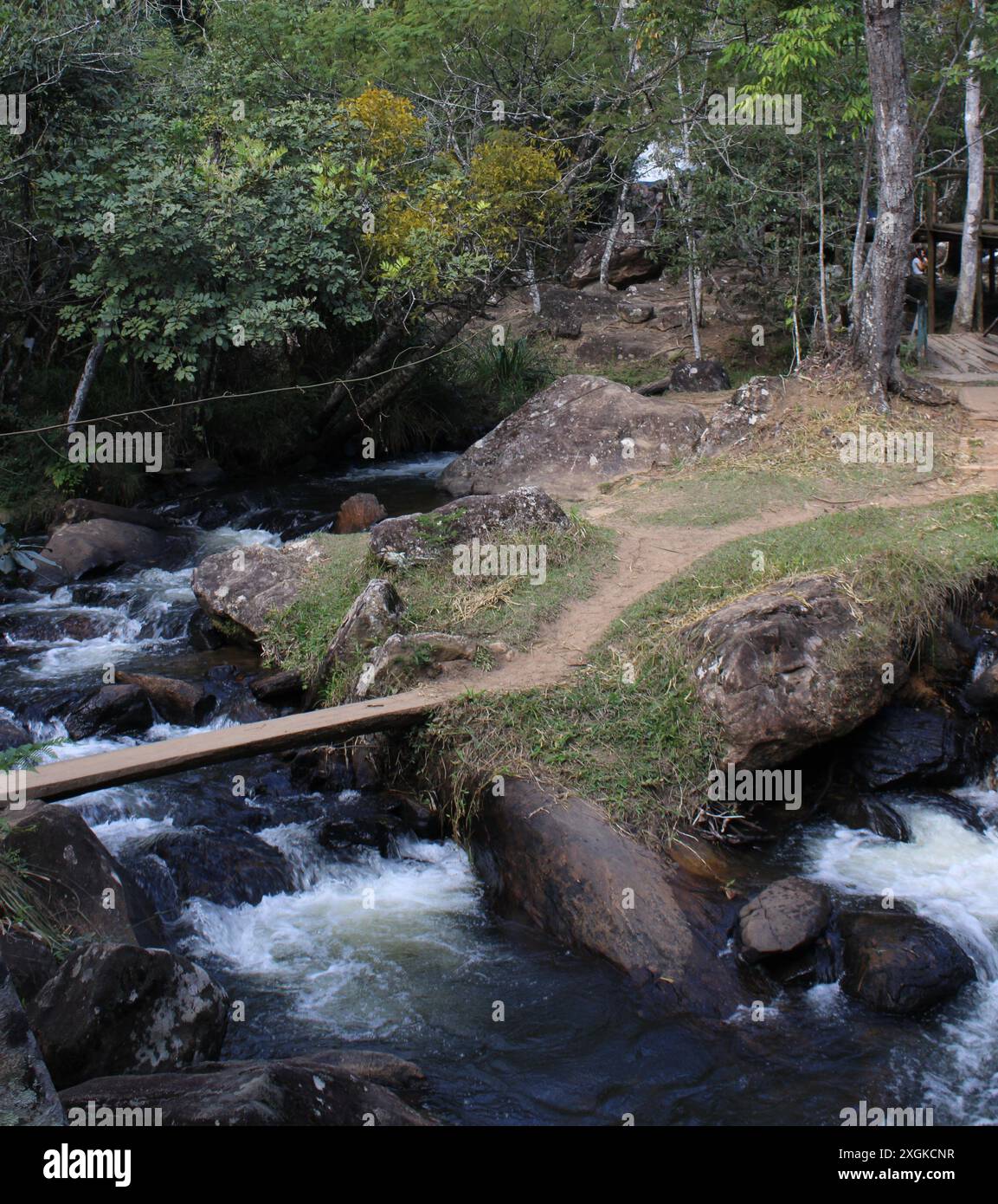 Wooden footbridge crossing rocky river / flowing water in a forest, eco ...