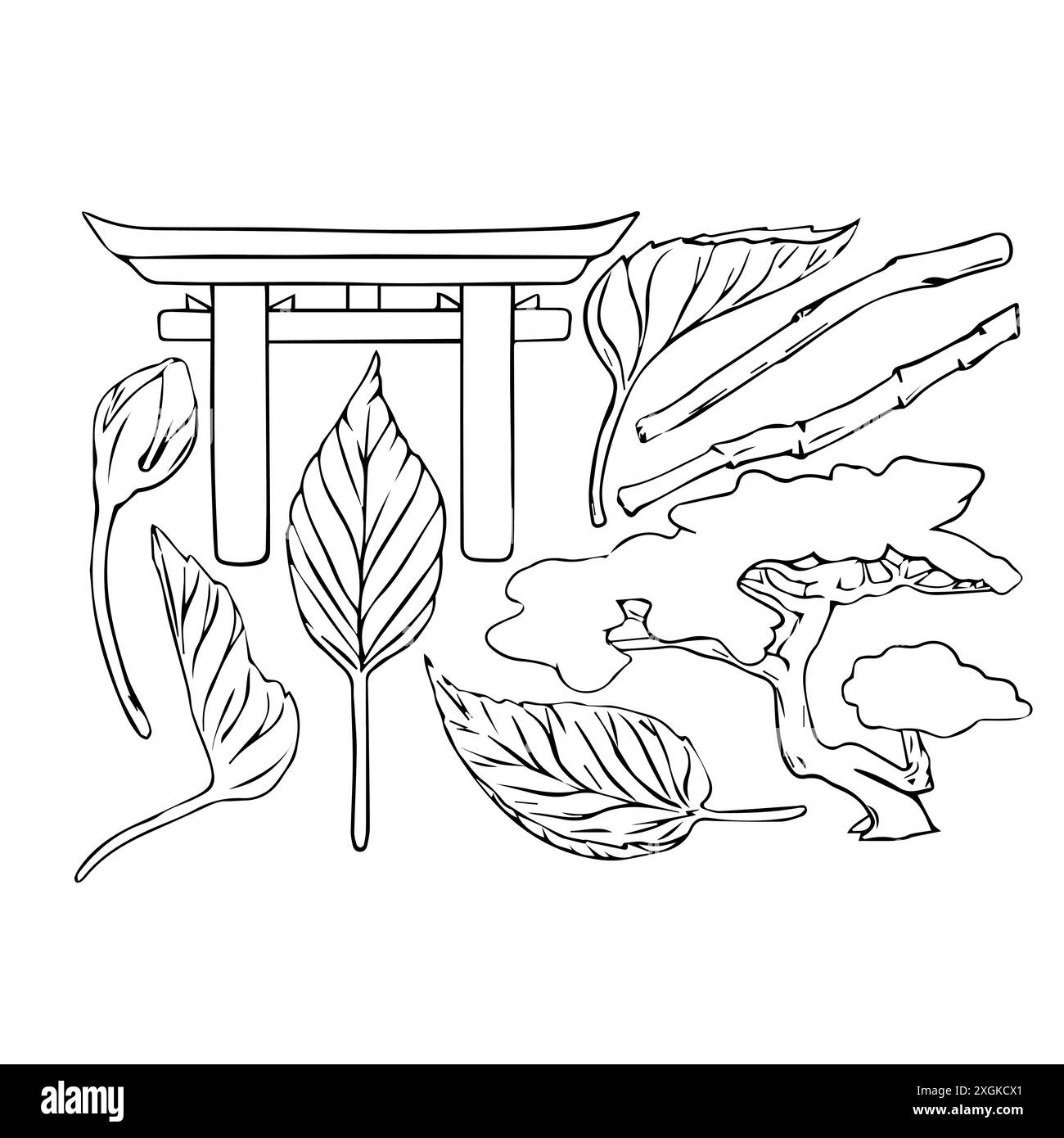 Vector Japanese ink illustration set. Torii Gate, leaves and Bonsai ...