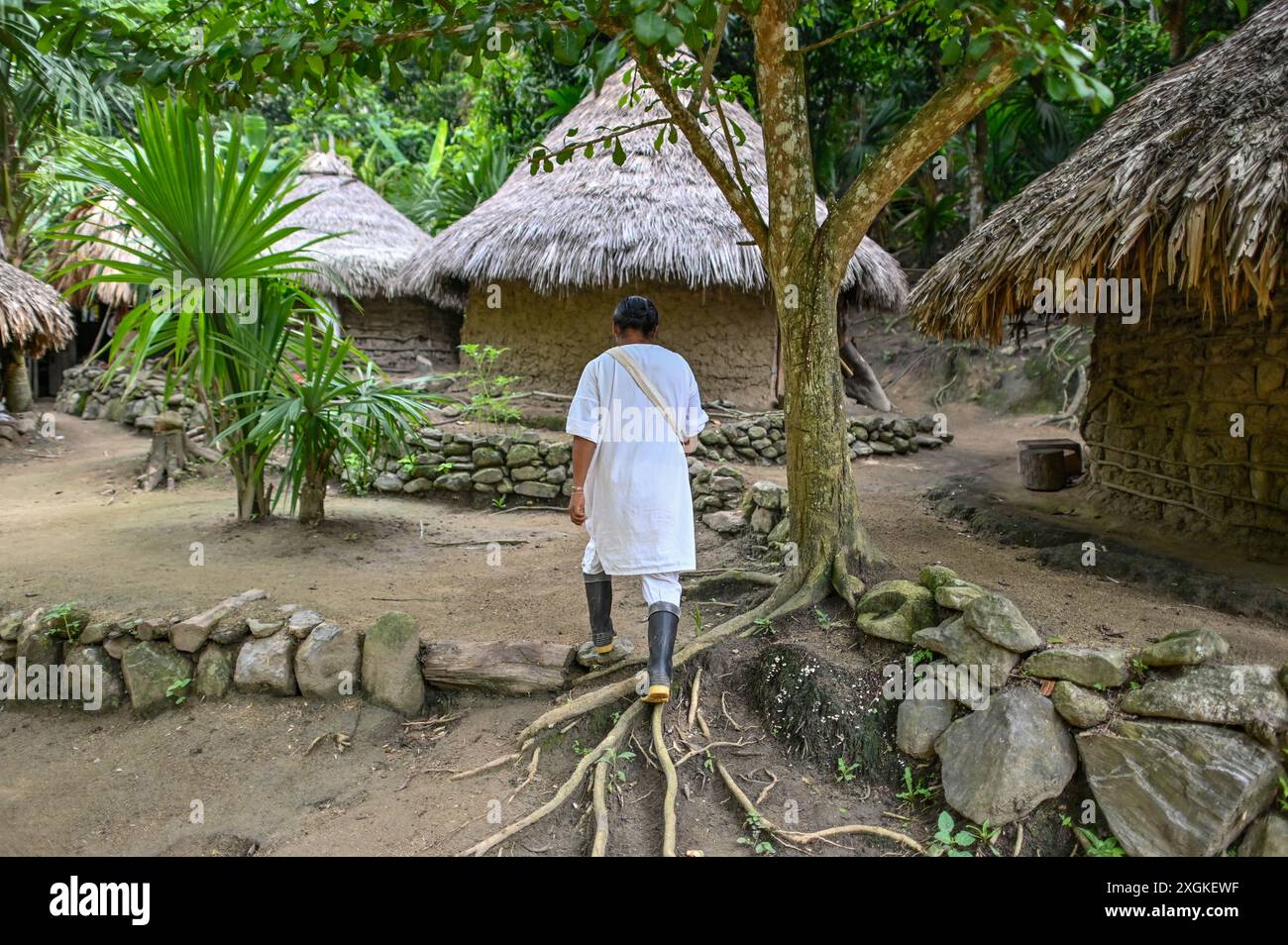 The traditional Kogi architecture in the Kogui Taiku community, nestled ...