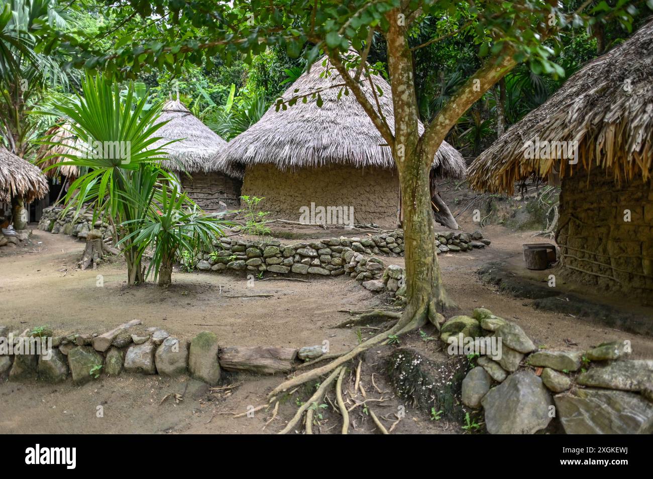 The traditional Kogi architecture in the Kogui Taiku community, nestled ...
