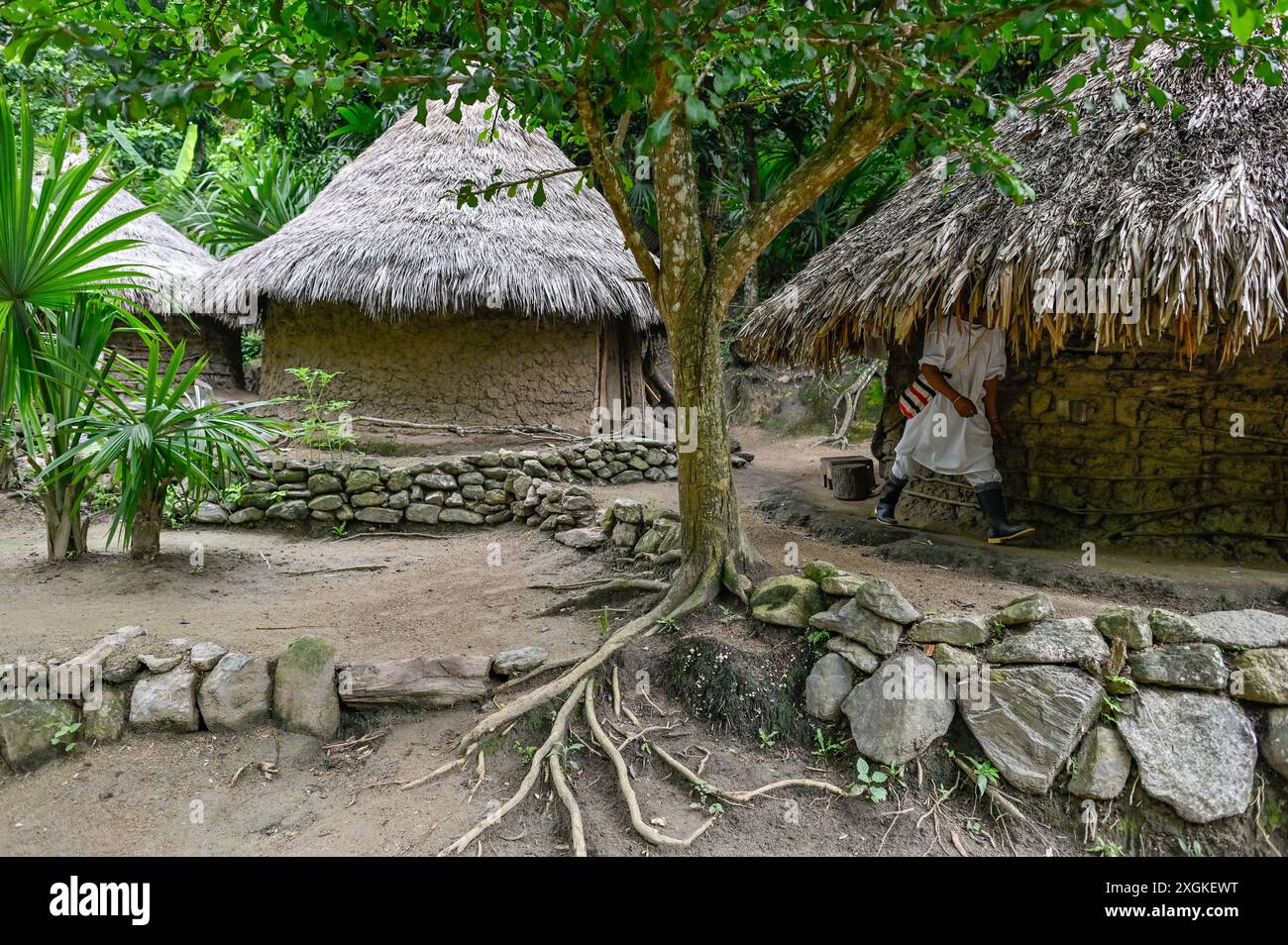 The traditional Kogi architecture in the Kogui Taiku community, nestled ...