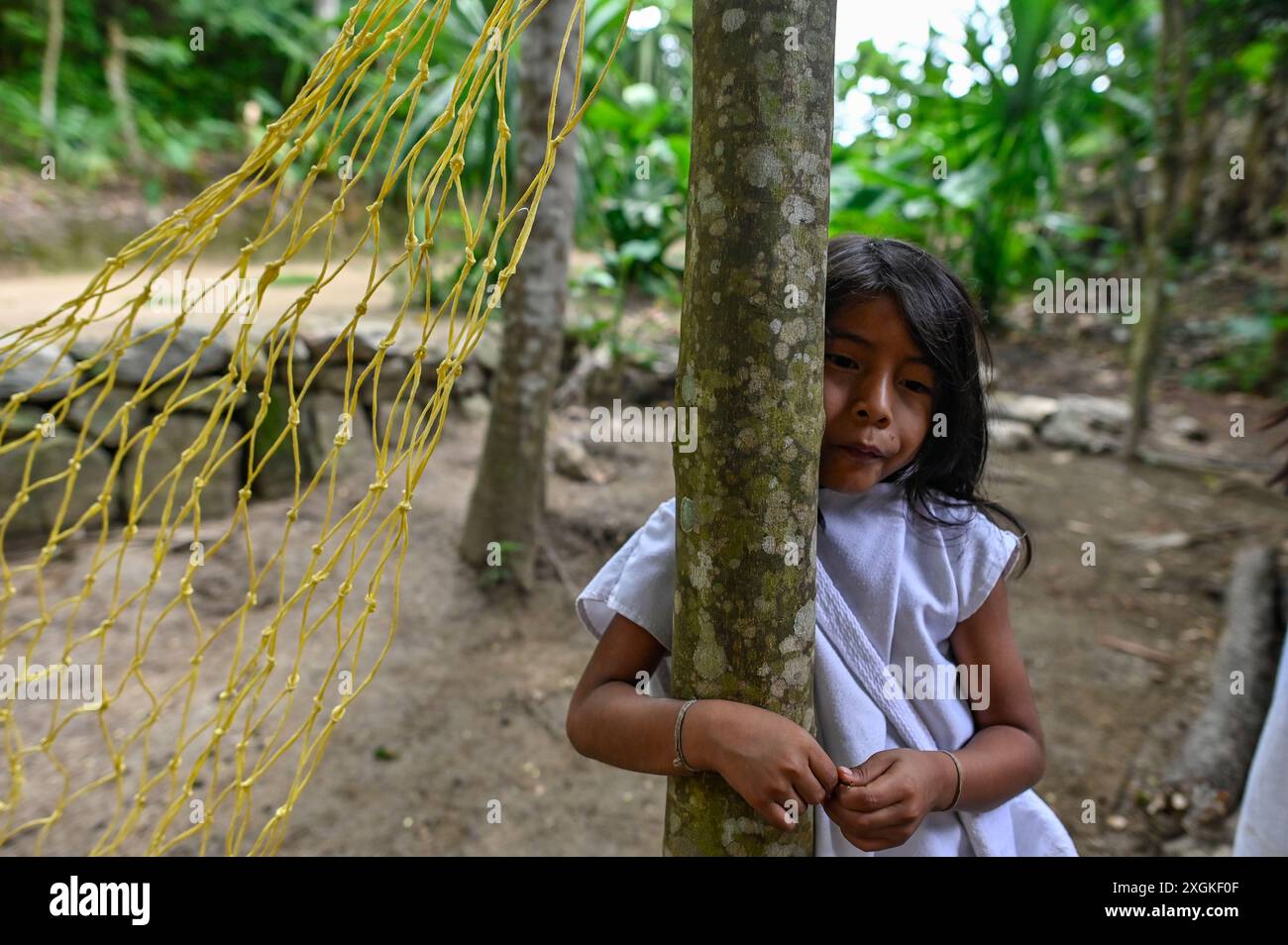 Indigenous Kogi children play joyfully in the Kogui Taiku community ...