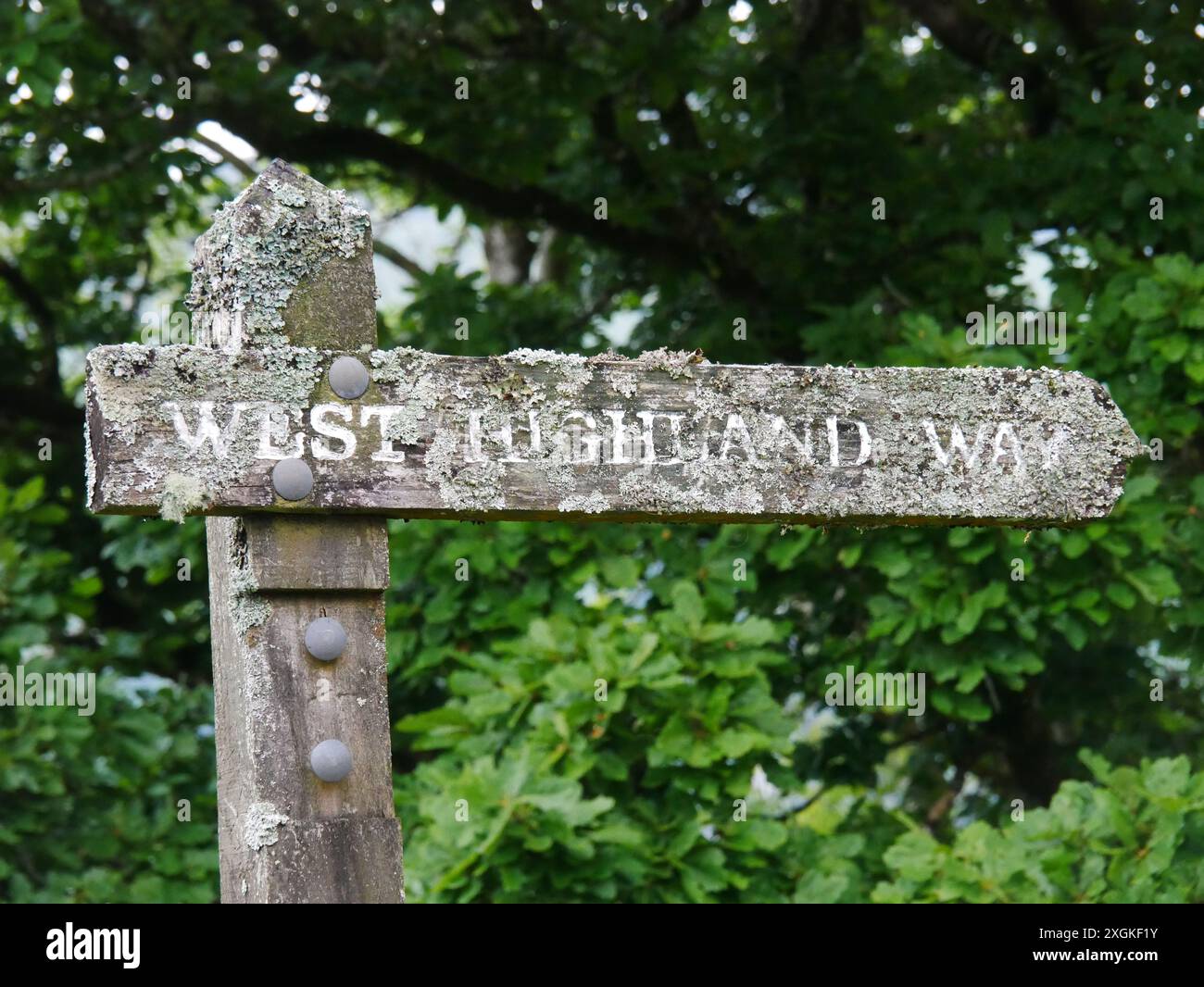 West Highland Way Sign Stock Photo - Alamy