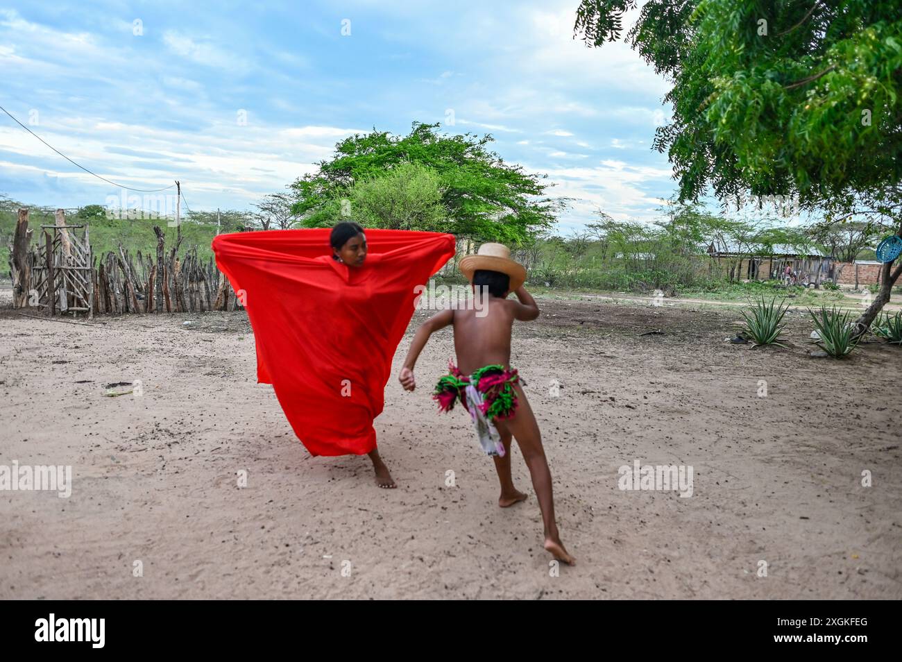 Wayuu performers gracefully execute the traditional Yonna dance, a ...