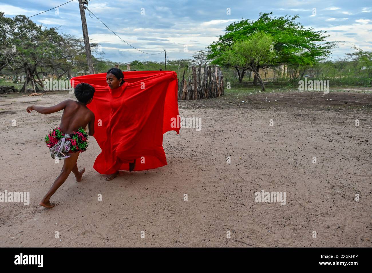 Wayuu performers gracefully execute the traditional Yonna dance, a ...