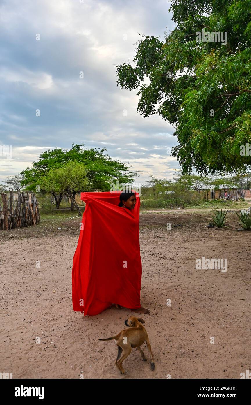 Wayuu performers gracefully execute the traditional Yonna dance, a ...