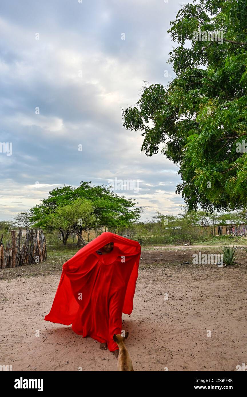 Wayuu performers gracefully execute the traditional Yonna dance, a ...