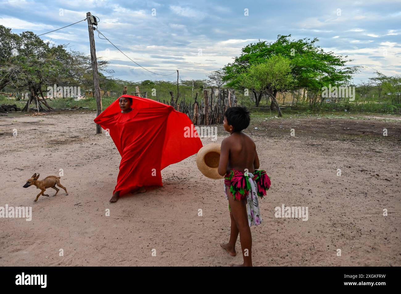 Wayuu performers gracefully execute the traditional Yonna dance, a ...