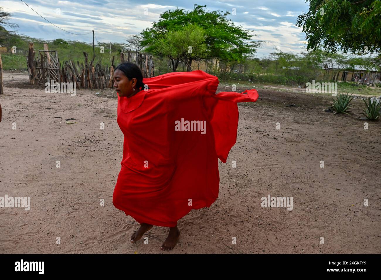 Wayuu performers gracefully execute the traditional Yonna dance, a ...