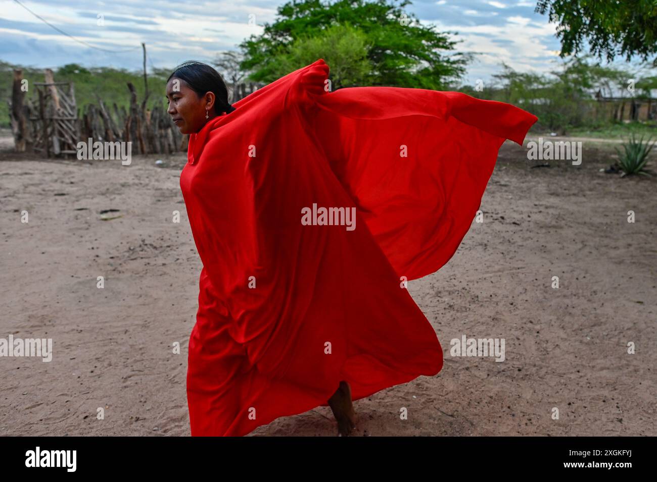 Wayuu performers gracefully execute the traditional Yonna dance, a ...