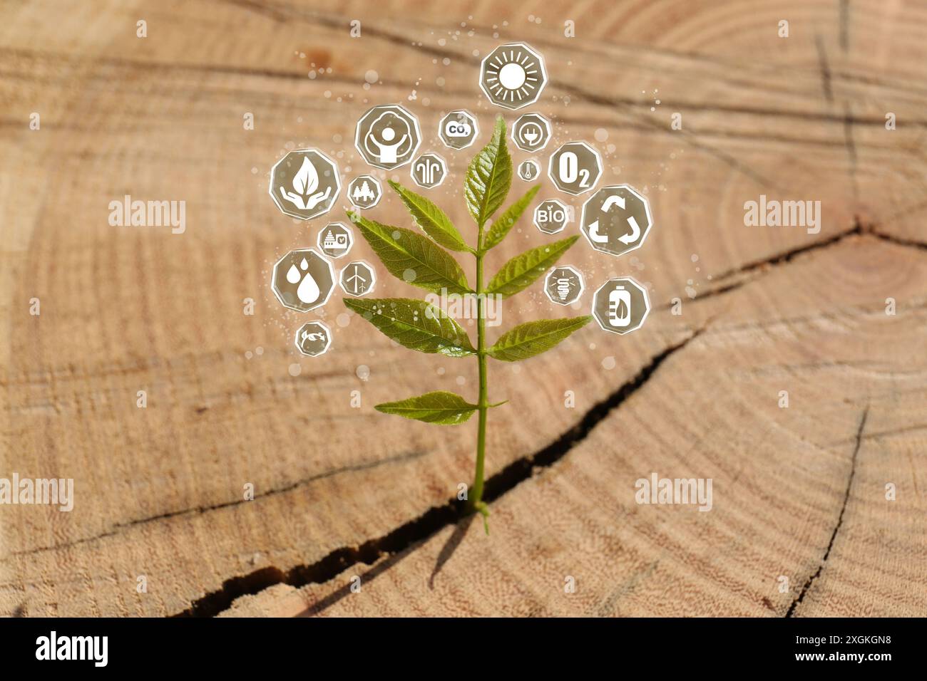 Environmental protection. Many different icons around seedling growing ...
