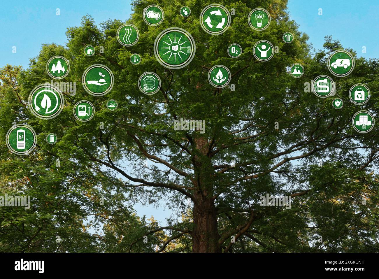 Environmental sustainability icons green hi-res stock photography and ...