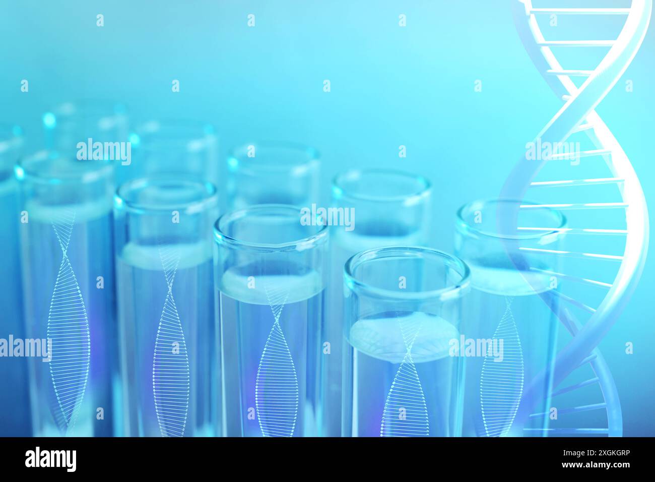 Illustrations of DNA and test tubes with samples, double exposure Stock ...