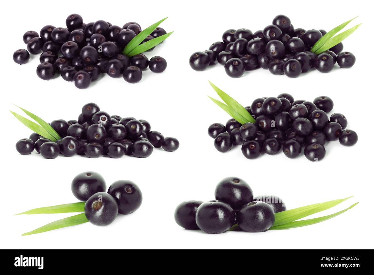 Set of acai berries with green leaves isolated on white Stock Photo - Alamy
