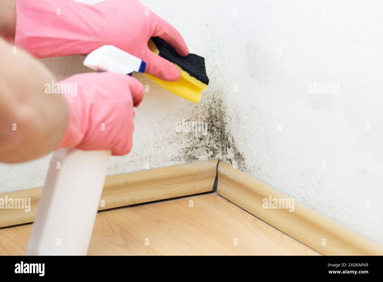 Mold sponge rubber hi-res stock photography and images - Alamy