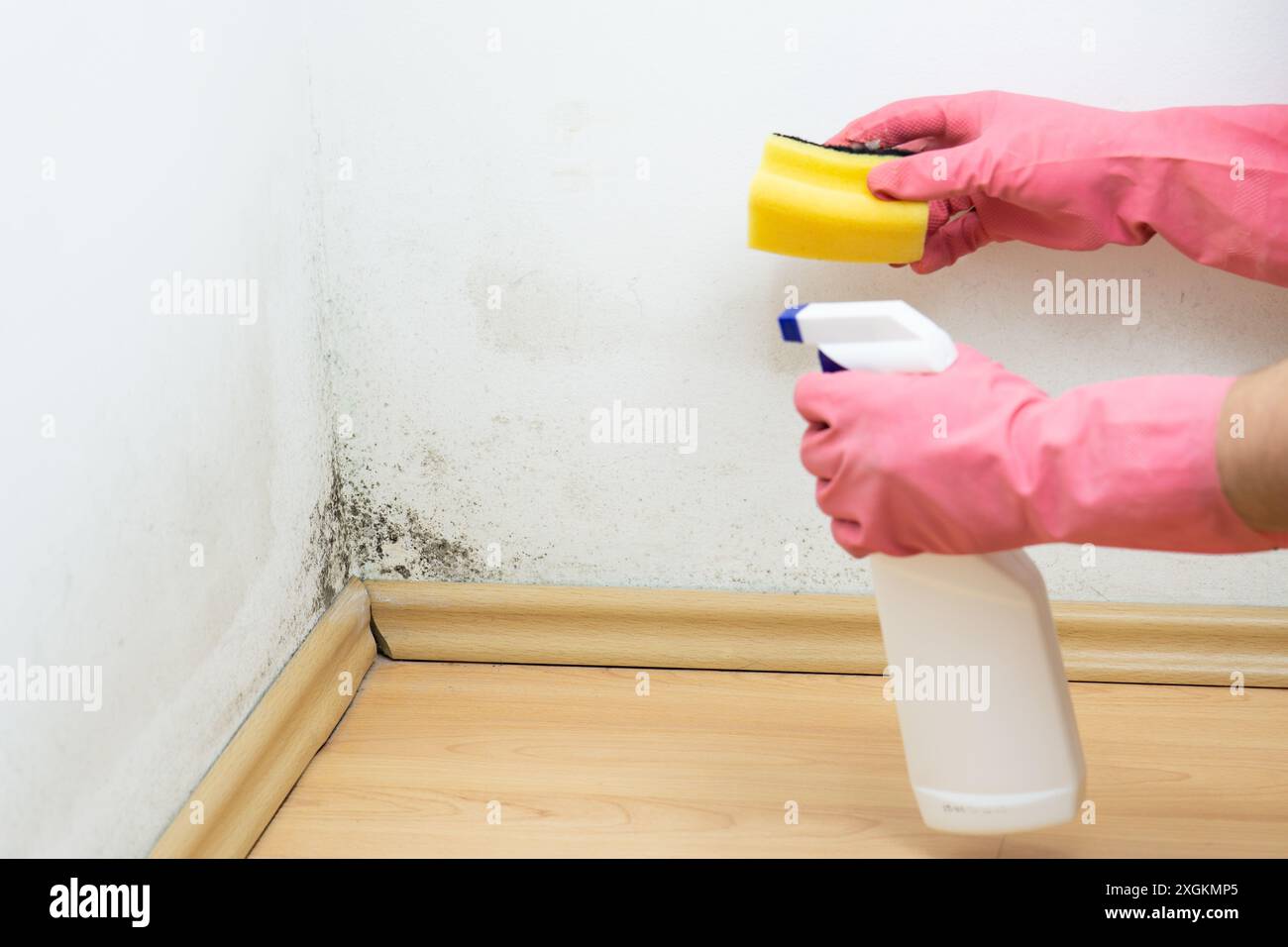 Mold sponge rubber hi-res stock photography and images - Alamy