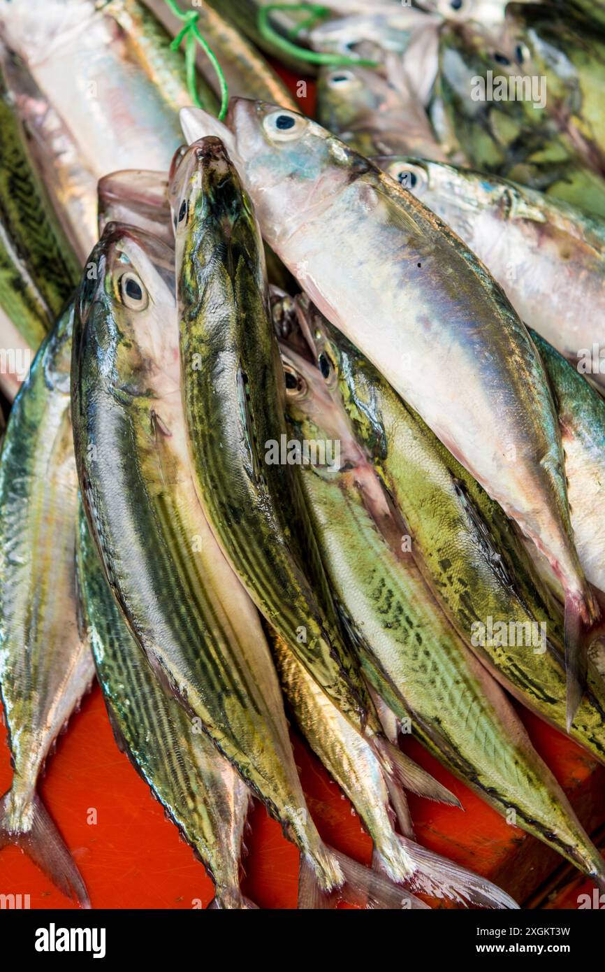 Fish at the Sir Selwyn Selwyn - Clarke Market, Victoria, Mahe, Republic ...
