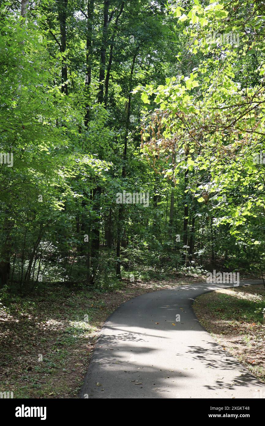 Paved Trail in the Woods Stock Photo - Alamy