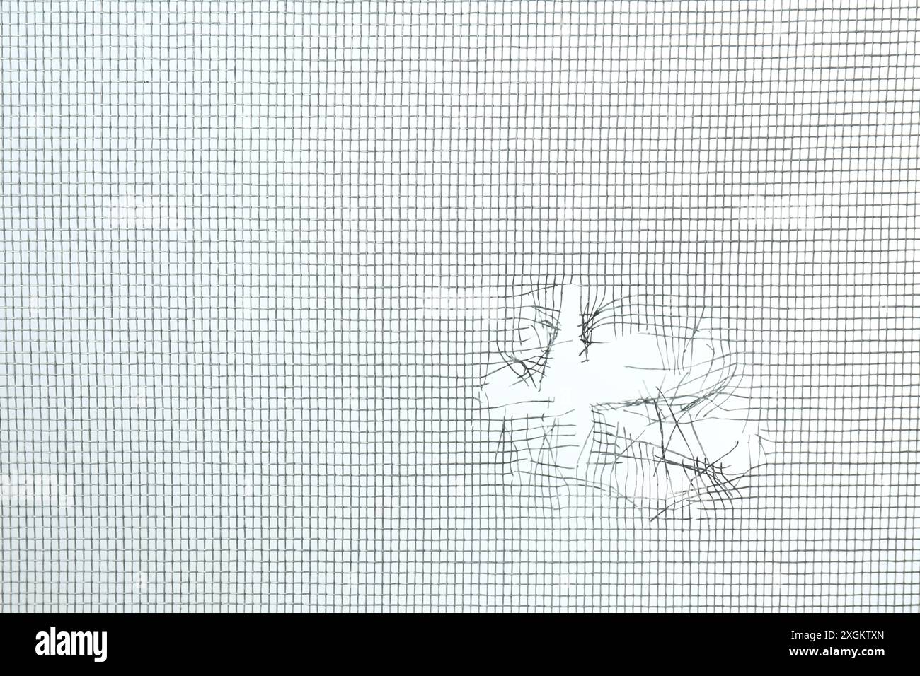 Torn window screen against white background, closeup Stock Photo - Alamy