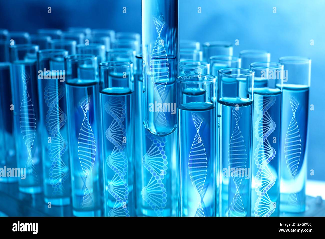 Test tubes with different illustrations of DNA in laboratory, closeup ...