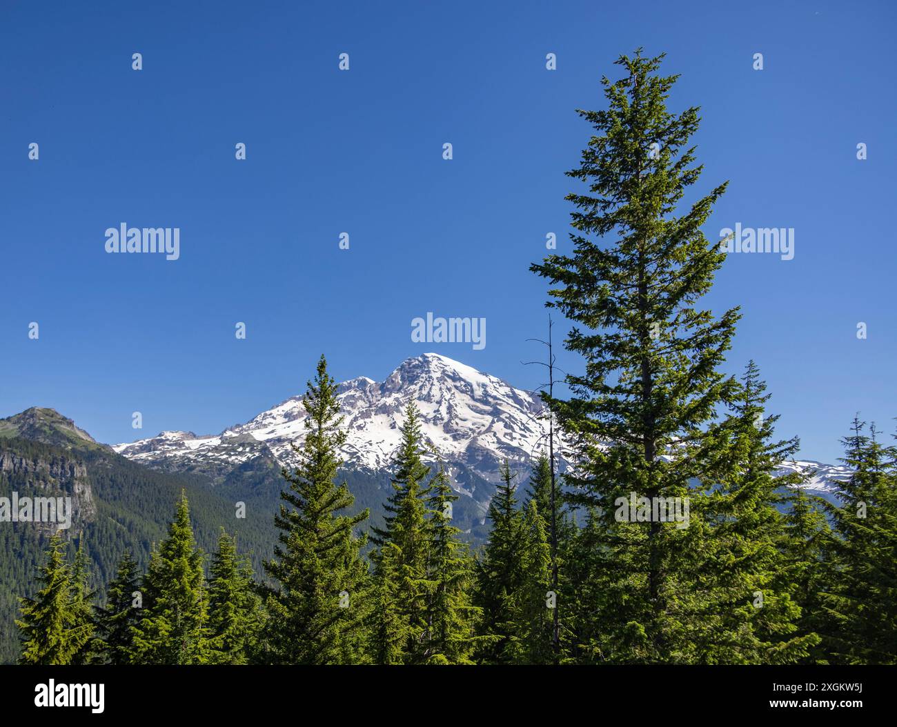 Mount Rainier from Rampart Ridge Hiking Trail, Mount Rainier National ...