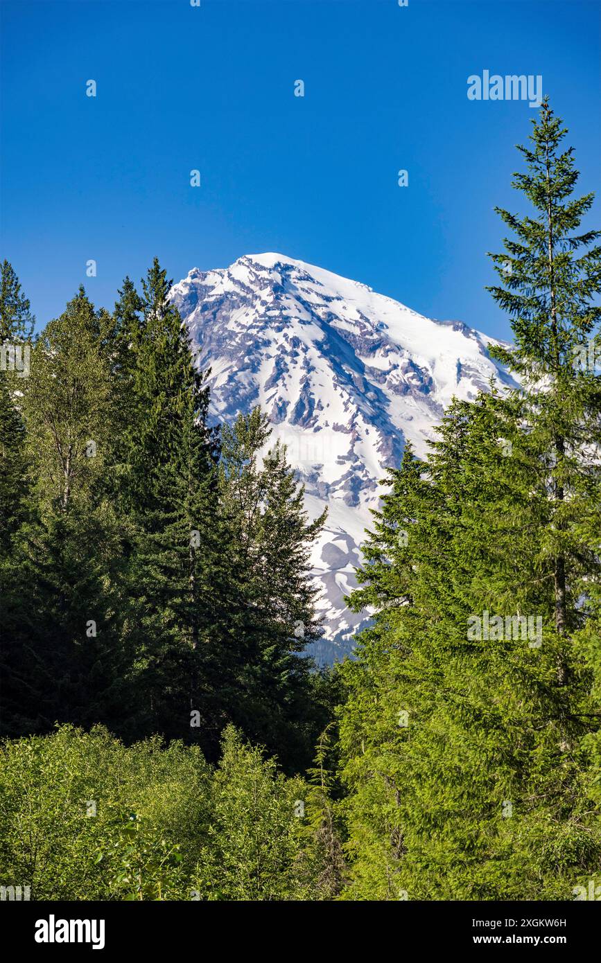 Mount Rainier from Rampart Ridge Hiking Trail, Mount Rainier National ...