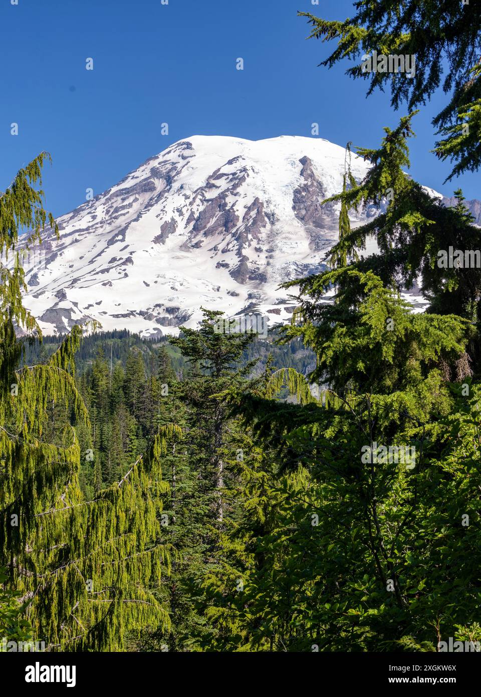 Mount Rainier from Snow Lake Hiking trail, Mount Rainier National Park ...