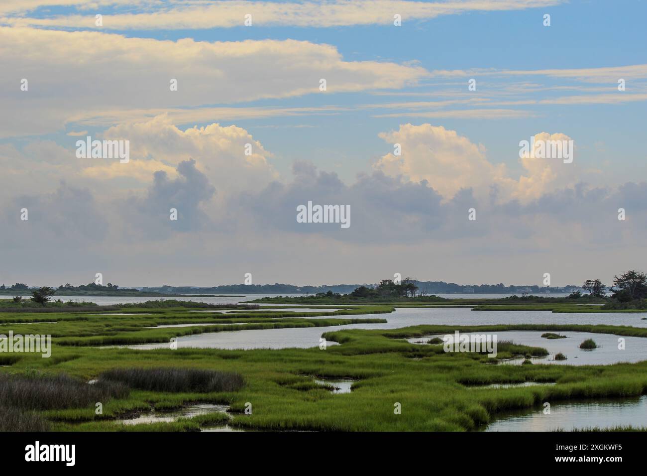 Beautiful shot ponds land hi-res stock photography and images - Alamy