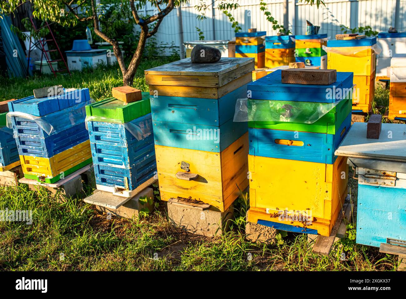 Colorful beehives in an autumn orchard Stock Photo - Alamy