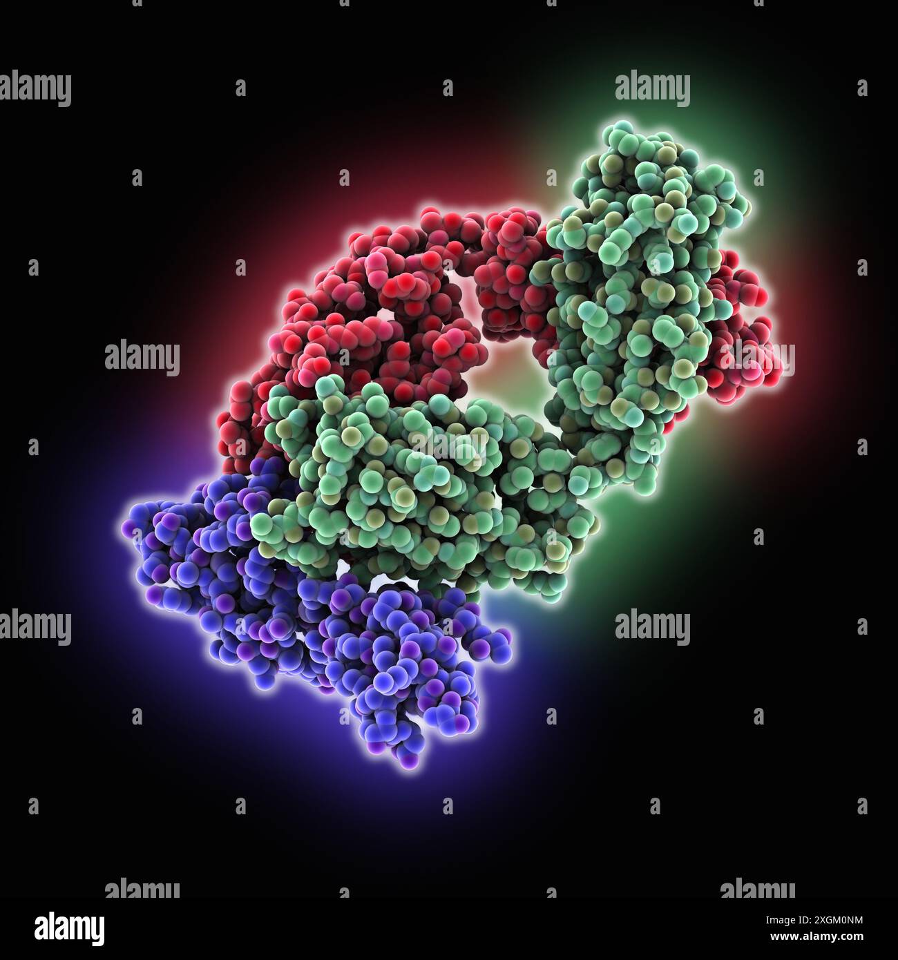 Molecular model of the monkeypox virus protein OPG190 (blue) complexed ...