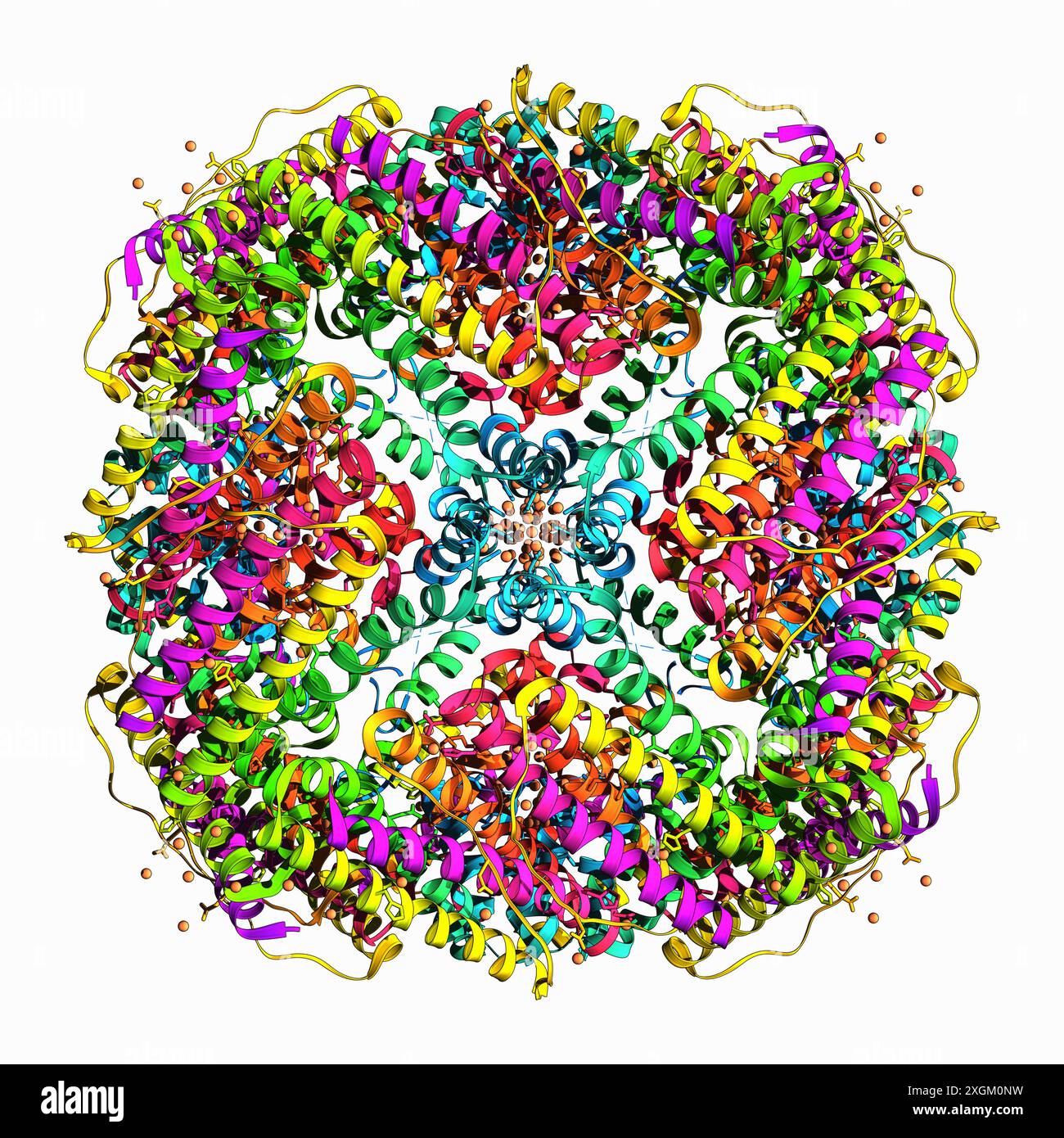 Molecular model of a Fe-O nanocluster from Ureaplasma diver sum ...